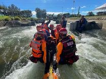 Technical Level – SES