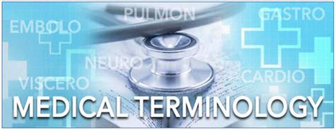 HIMAA – Education Services